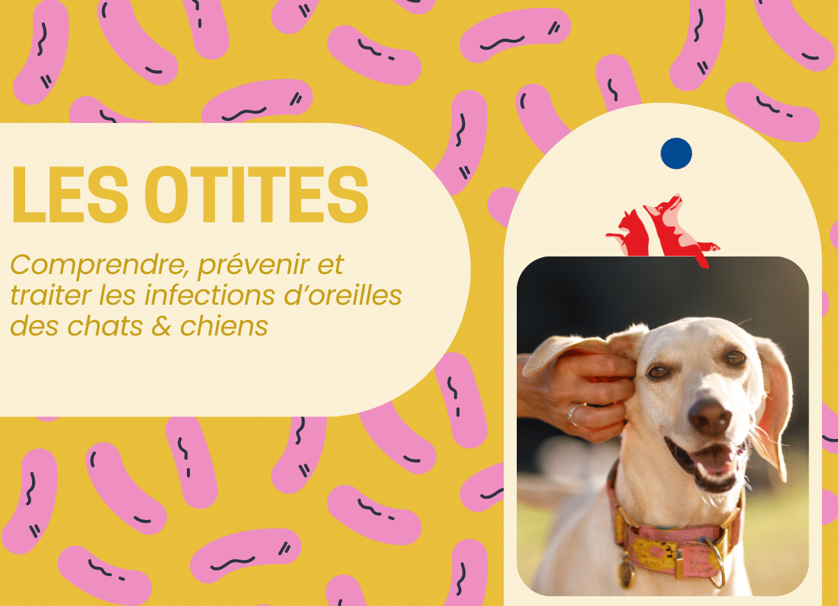 Les otites chez les chiens et les chats